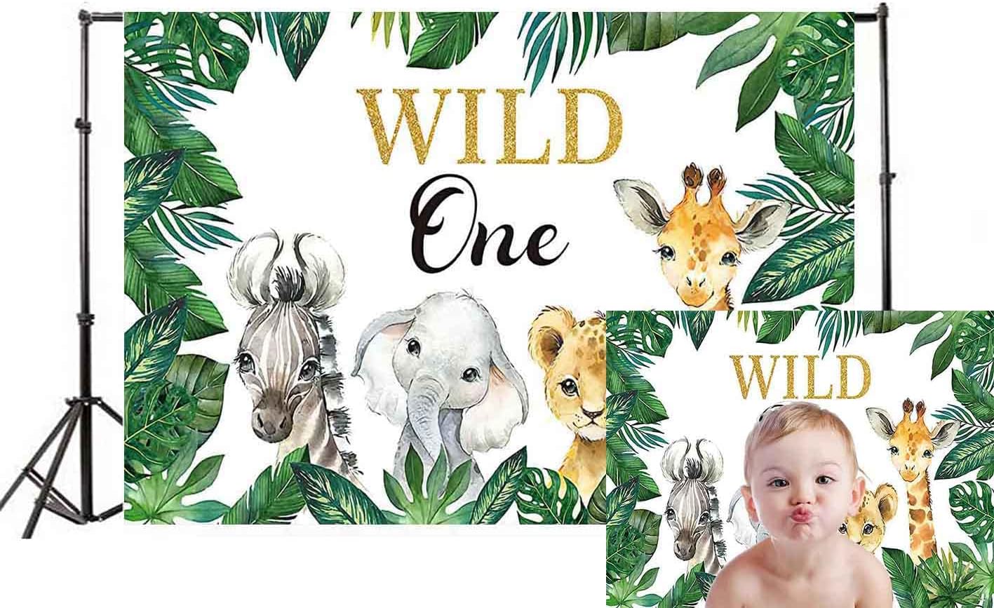 Haosphoto Kids Wild One Backdrop for Photography 5X3FT Boys 1st ...