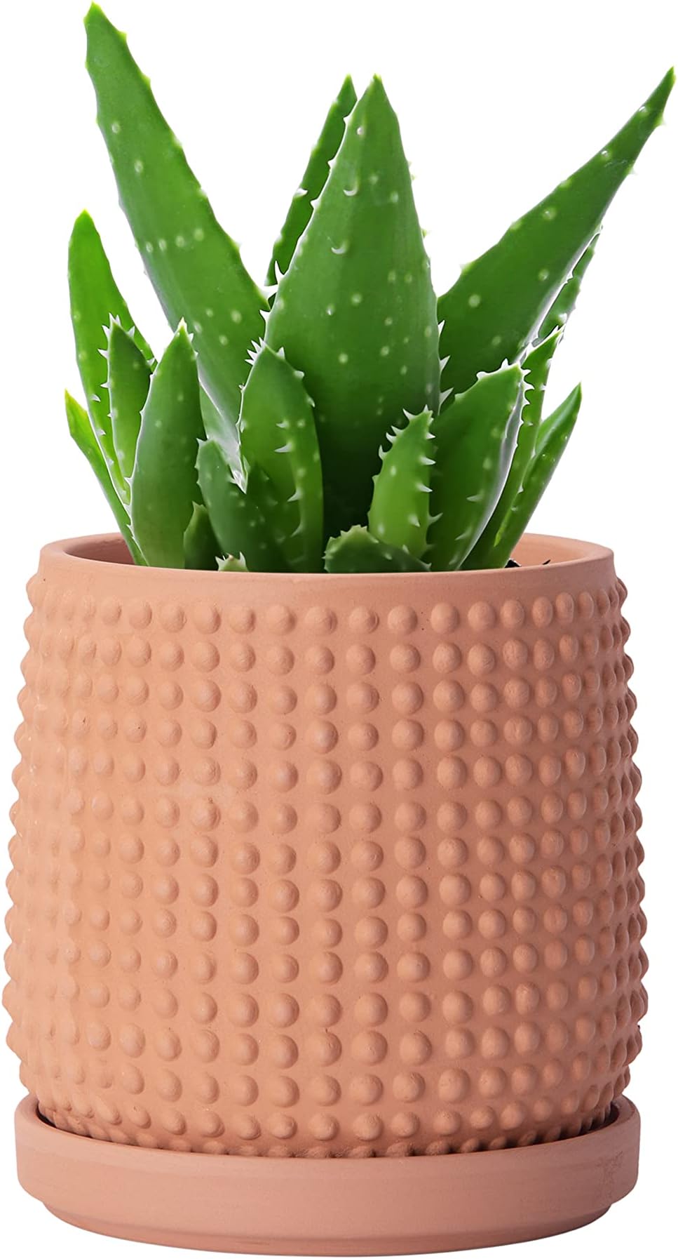 Amazon.com : D'vine Dev X-Small 4 Inch Terracotta Plant Pot with ...