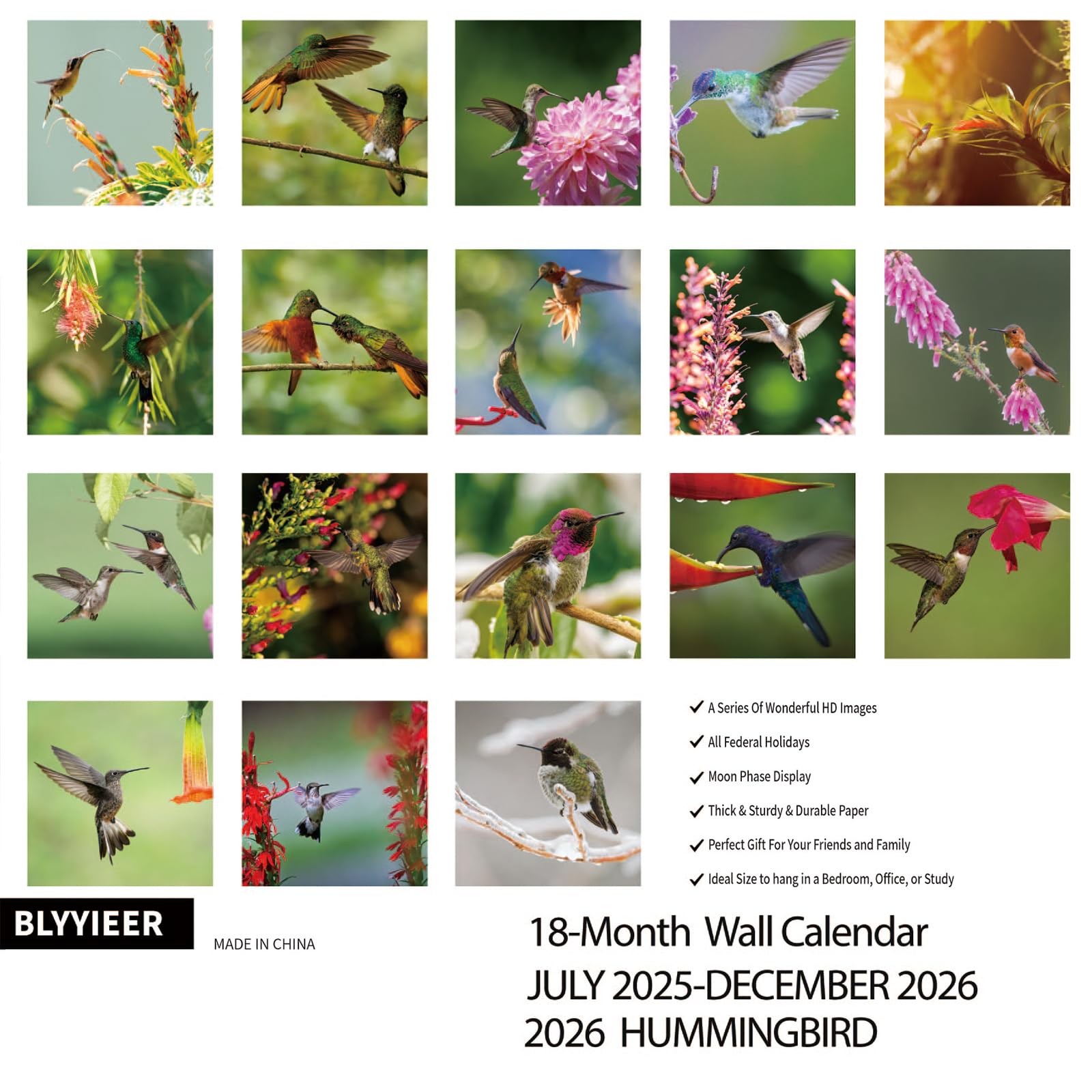 Snapklik.com : 2025-2026 Wall Calendar Hummingbird 18 Monthly Hangable ...