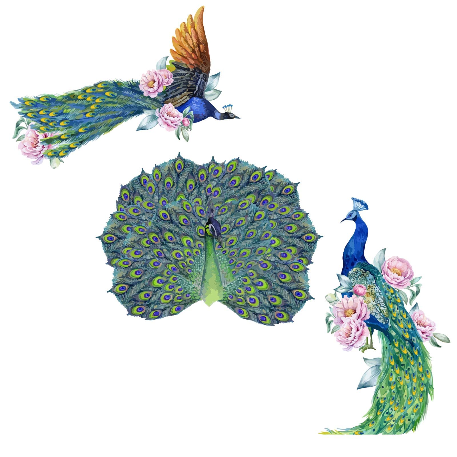 SUPERDANT Peacock Wall Decals Colorful Floral Wall Stickers Animals ...