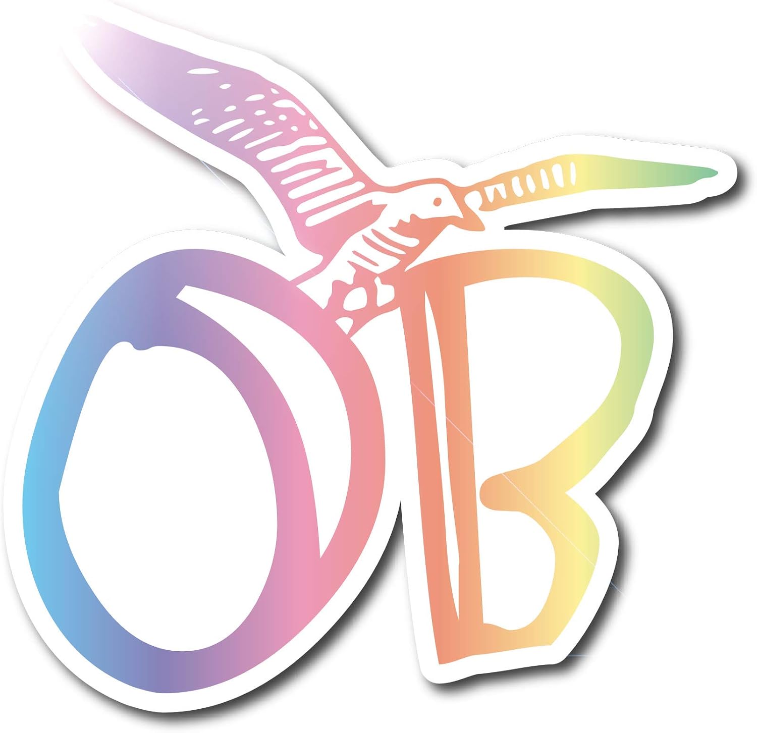Amazon.com: OB Ocean Beach Seagull San Diego Sticker - Spectrum - 3" x ...