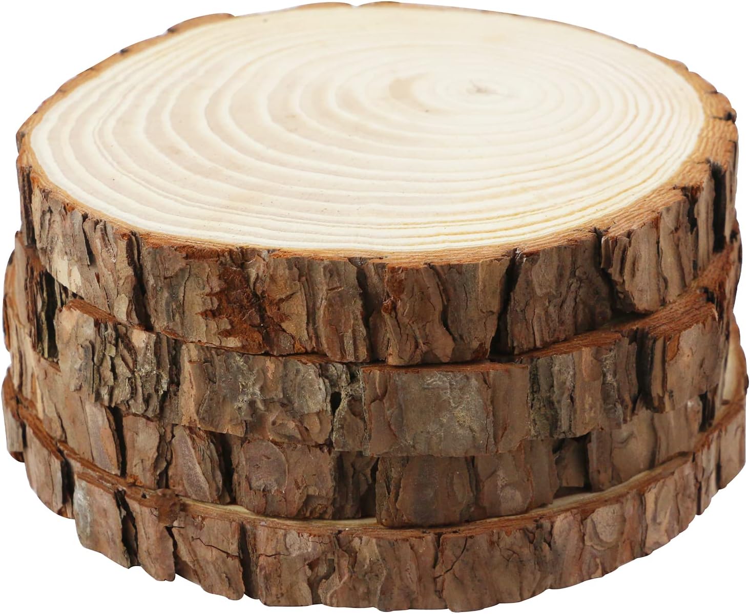 Amazon.com: Unfinished Natural Wood Slices Wooden Circles with Tree ...