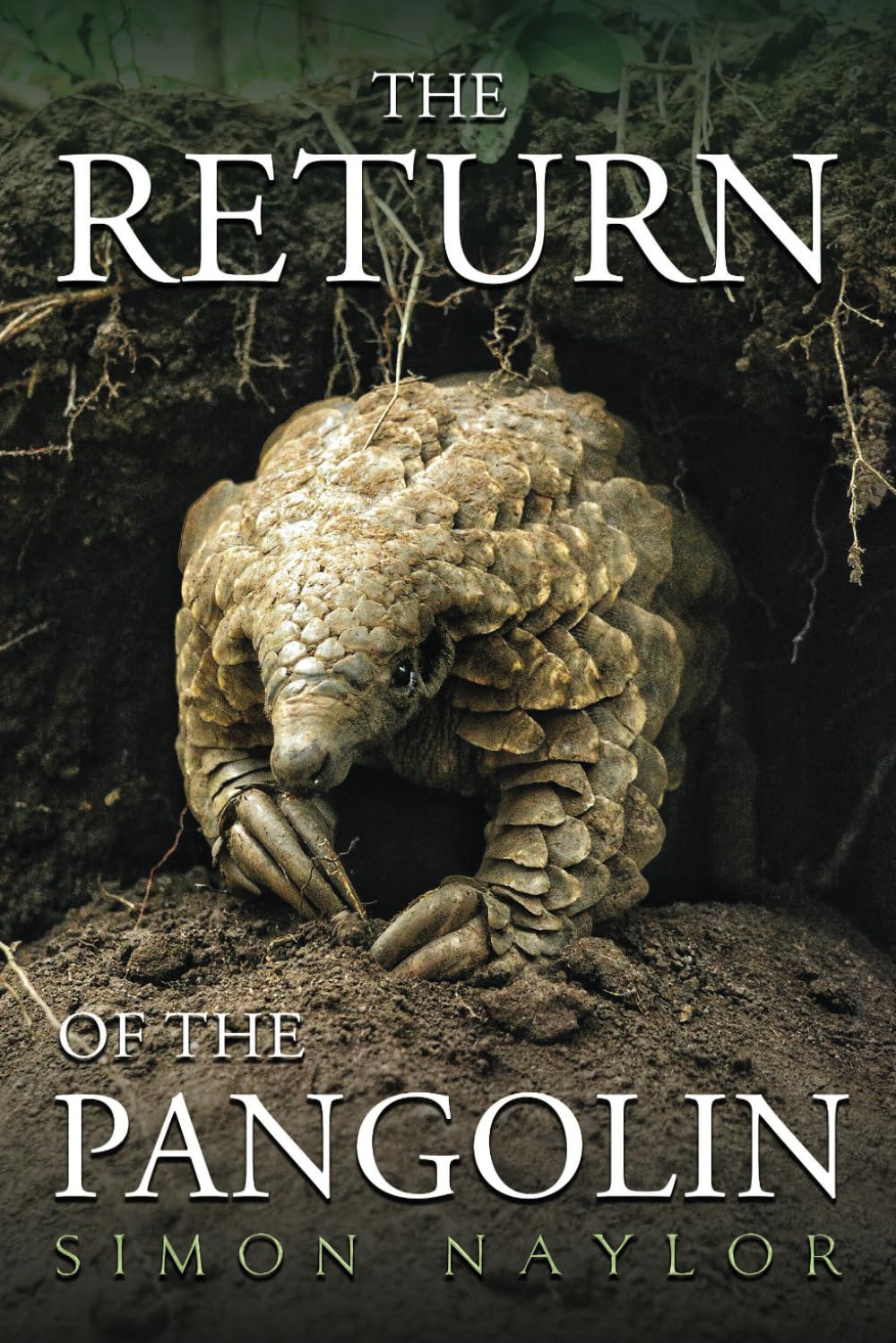 The Return of the Pangolin: Naylor, Simon: 9798302031983: Amazon.com: Books