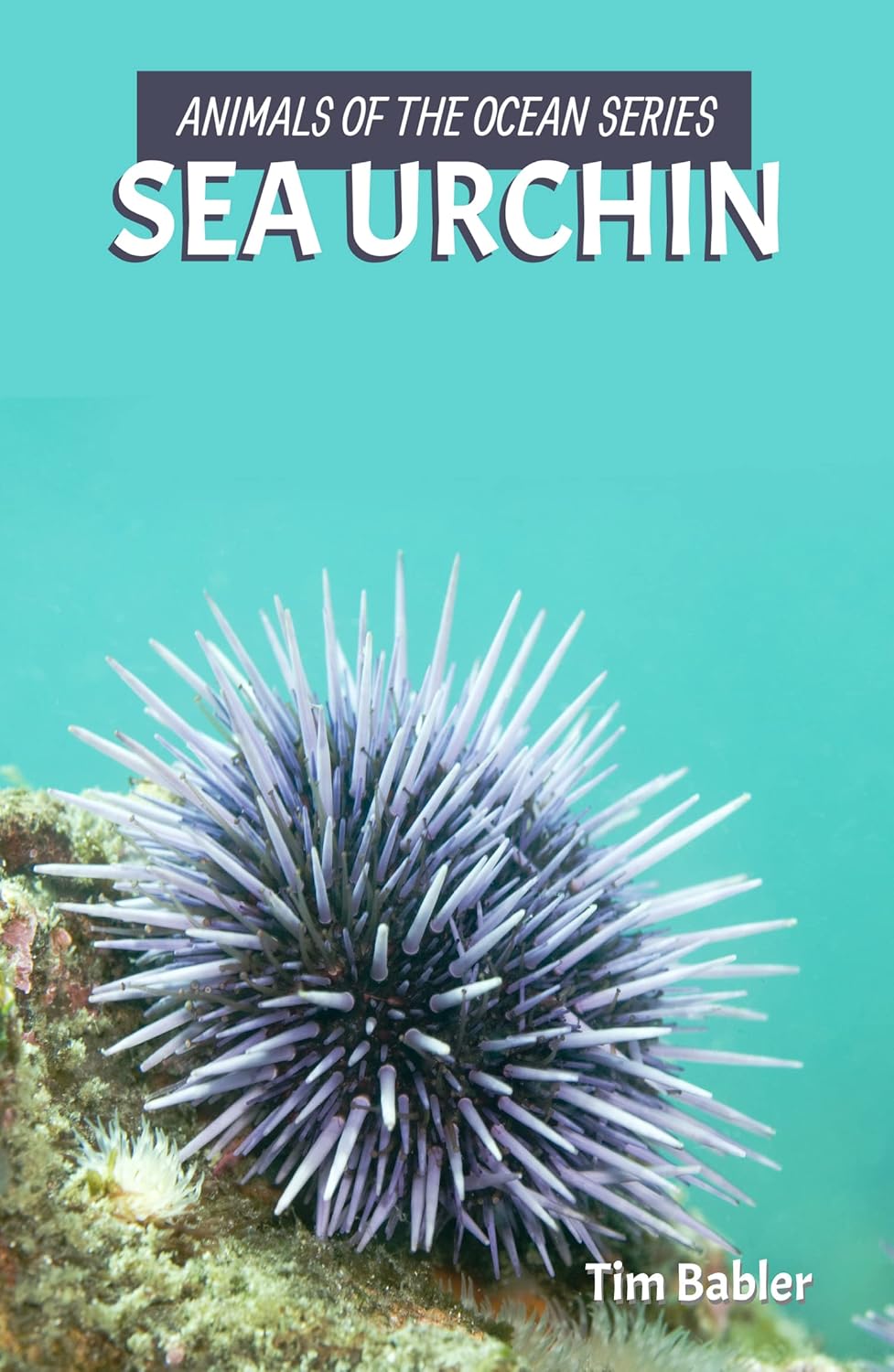 Animals of the Ocean - Sea Urchin (Animals of the Ocean Series for Kids ...