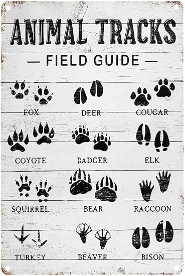 Amazon.com: CrazySign Animal Tracks Field Guide Sign Log Cabin Wall ...