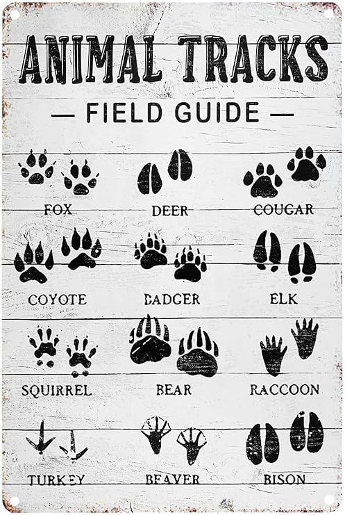 Amazon.com: CrazySign Animal Tracks Field Guide Sign Log Cabin Wall ...