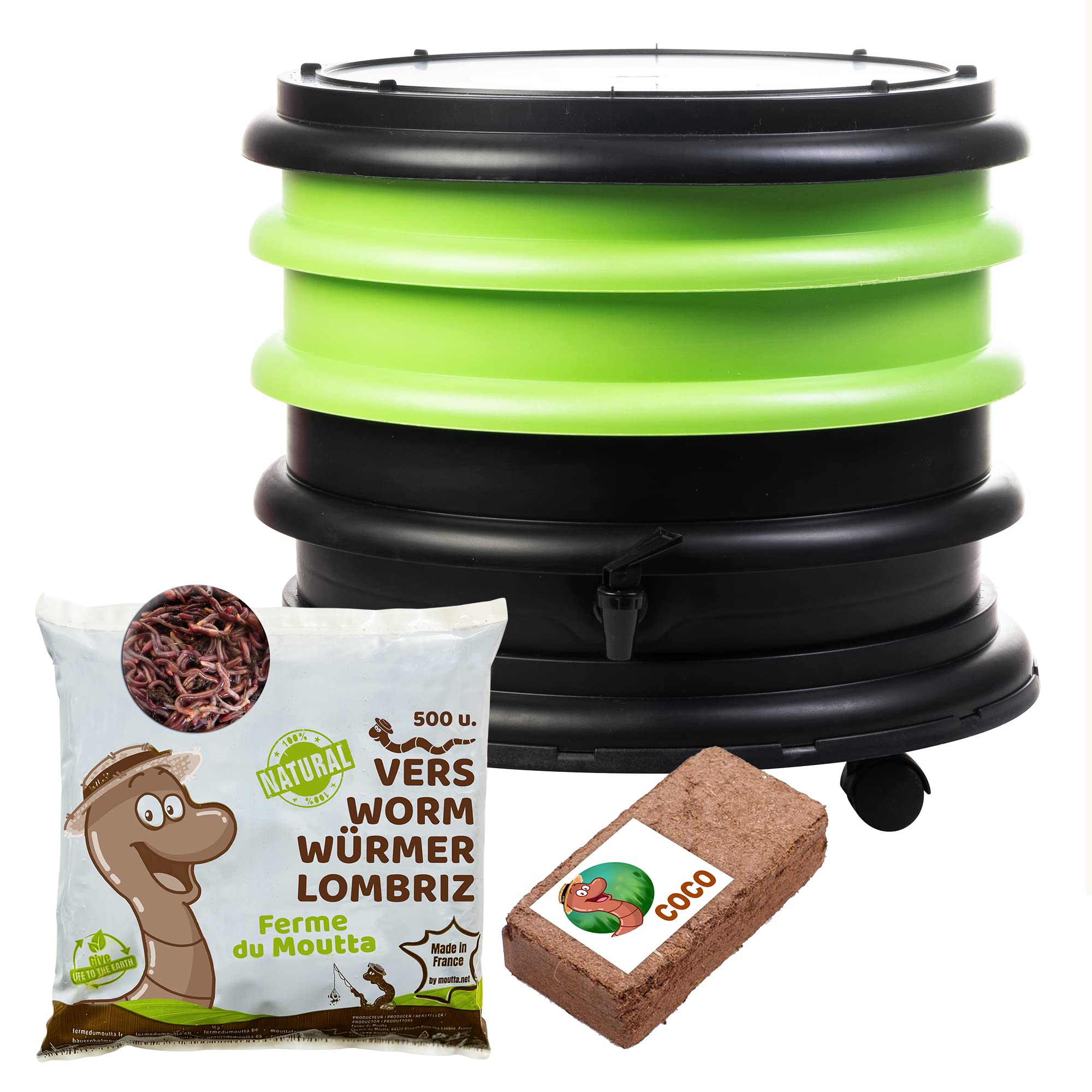 Buy WORMbox | Wormery Worm Farm com 2 Green Trays + 250gr of Compost ...