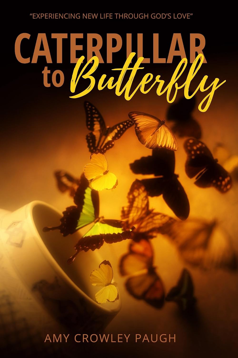 Amazon.com: Caterpillar to Butterfly eBook : Crowley Paugh, Amy: Kindle ...