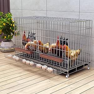 Amazon.com : Small Chicken Coops with Run Made of Iron, Foldable ...