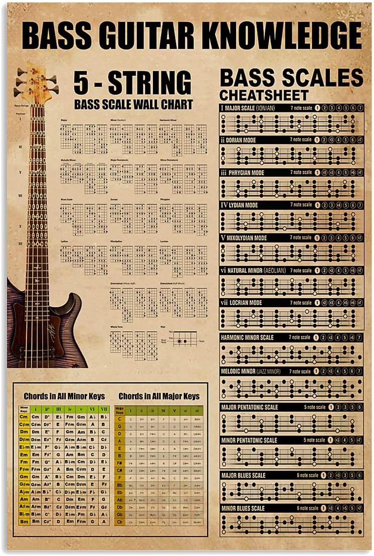 Amazon.com: JIUFOTK Bass Guitar Knowledge Retro Posters Bass Scales ...