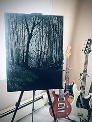 Amazon.com: WEBER Odorless Turpenoid, Artist Paint Thinner and Cleaner ...