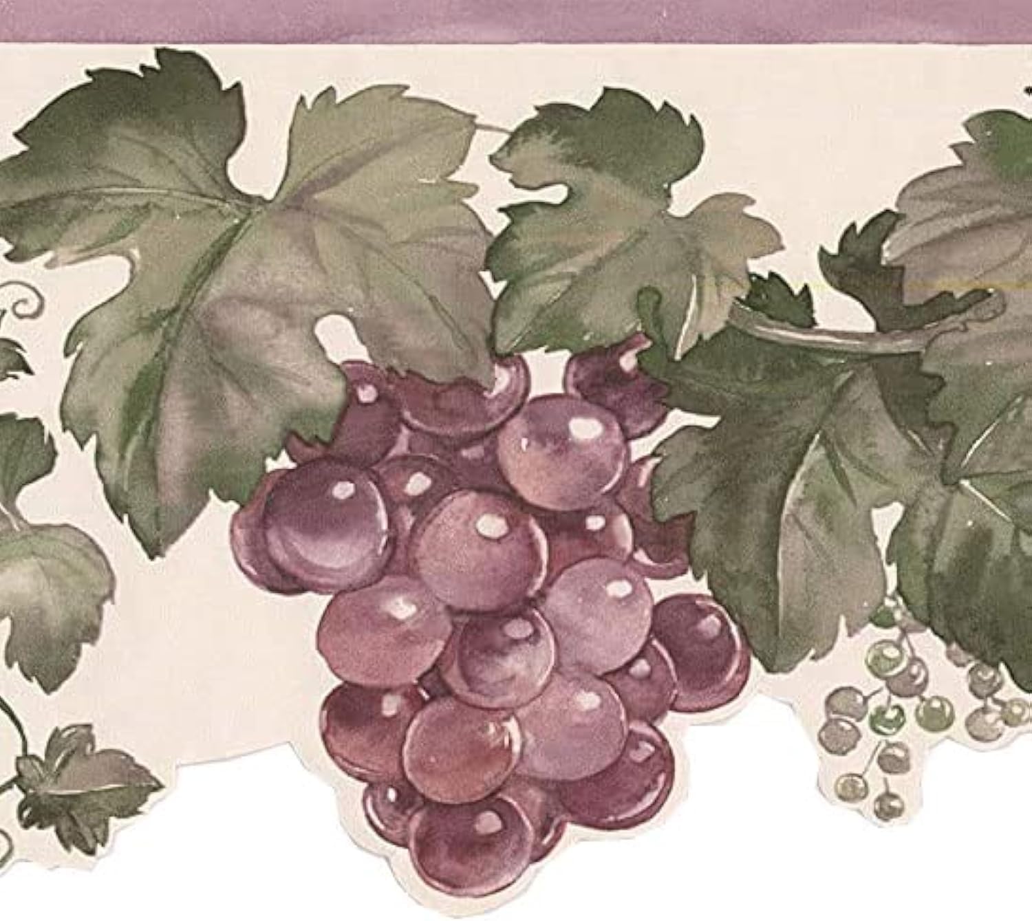 CONCORD WALLCOVERINGS ™ Classic Vine Wallpaper Border Featuring ...