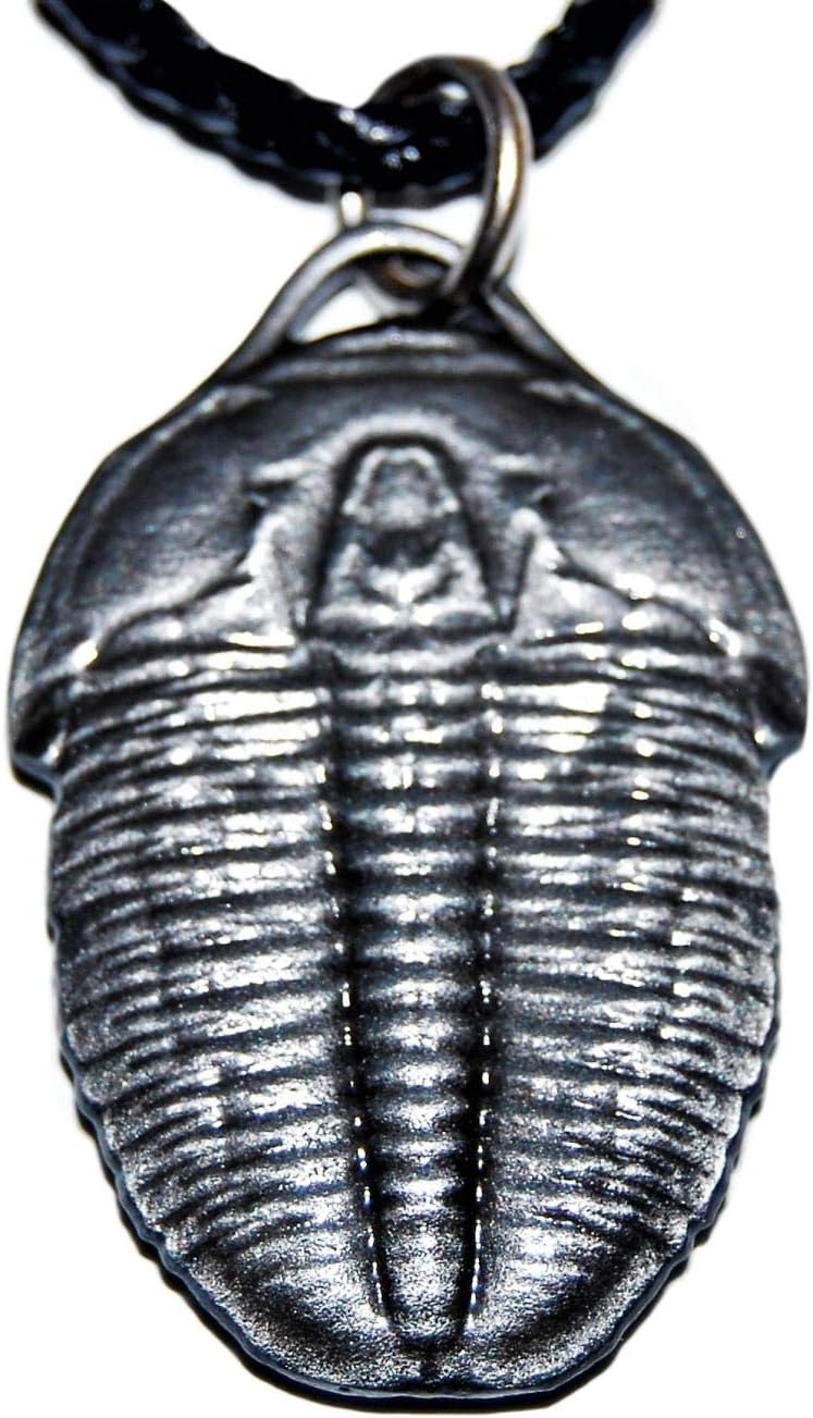 Amazon.com: Elrathia Kingi Trilobite Necklace Fossil Replica 1 1/2 ...