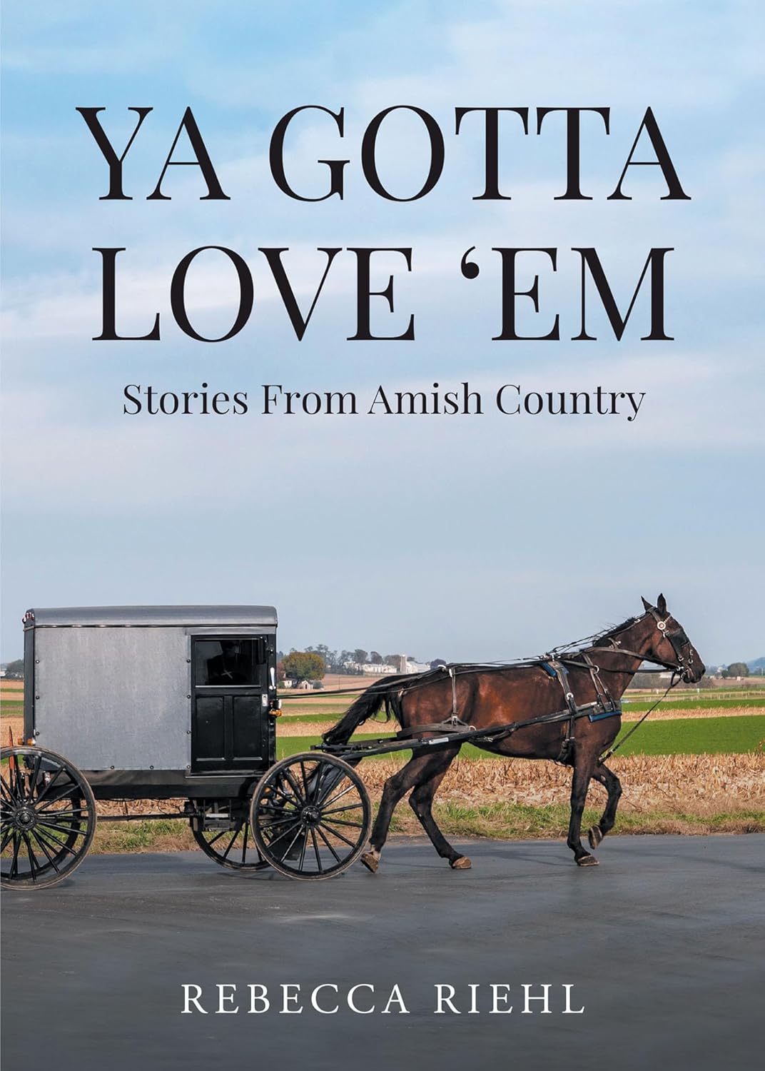 Amazon.com: Ya Gotta Love ‘Em: Stories From Amish Country eBook : Riehl ...