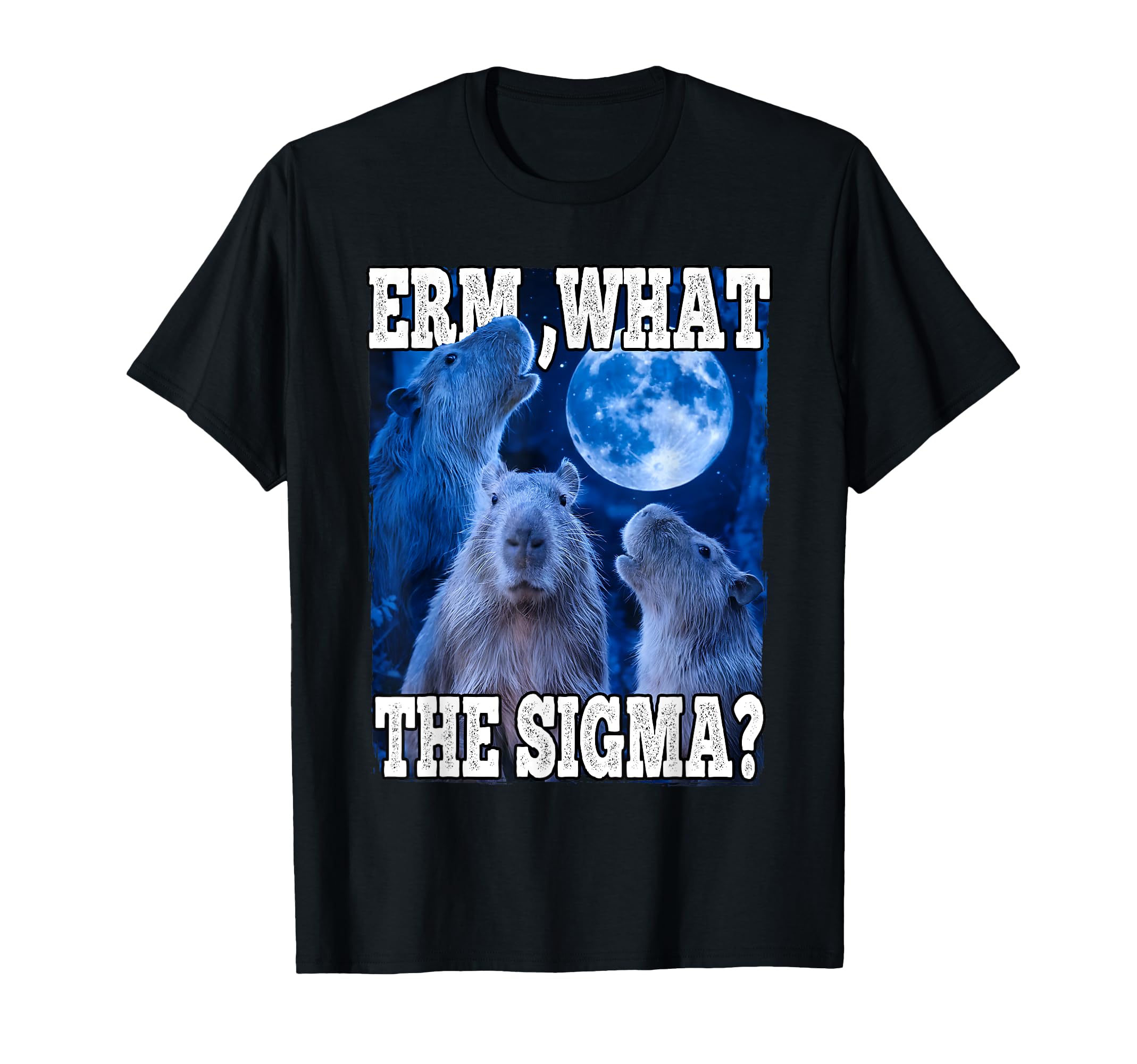 Amazon.com: Erm What The Sigma Funny Capybara Meme T-Shirt : Clothing ...