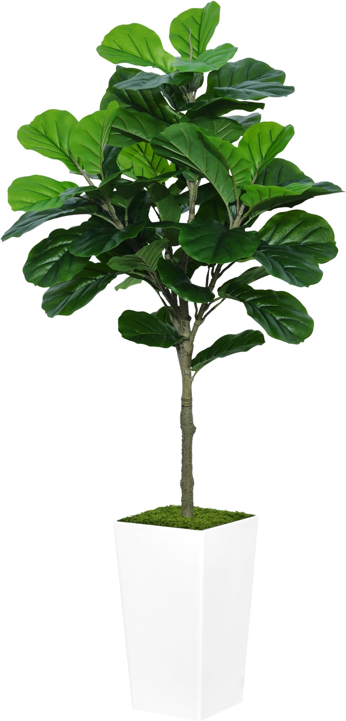 Amazon.com: ASTIDY Fiddle Leaf Fig Tree Artificial 5FT - Faux Fiddle ...
