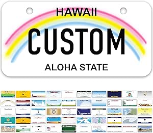 Amazon.com: Mini License Plates, Personalized License Plates, Custom ...