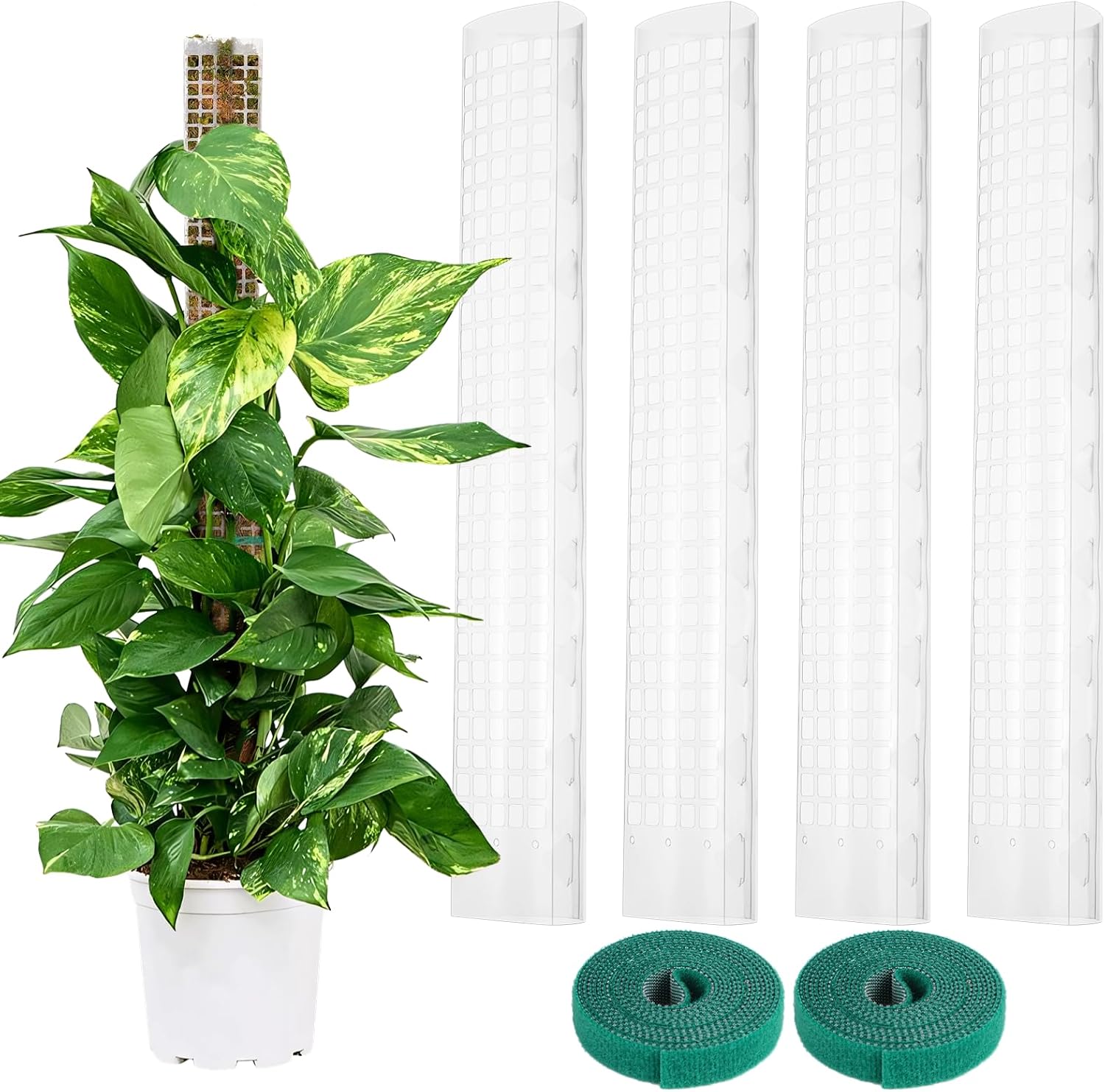 Amazon.com : FunPa 4 Pcs Plastic Moss Poles, 24″ Clear Sphagnum Moss ...