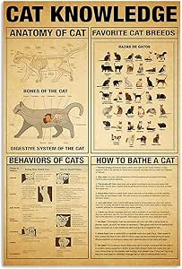 Amazon.com: Cat Knowledge Metal Tin Signs Cat Information Retro Poster ...