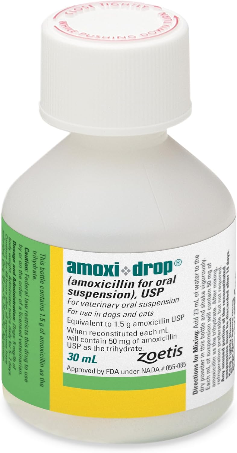Amazon.com: Amoxi-Drop (amoxicillin for Oral Suspension) for Dogs ...