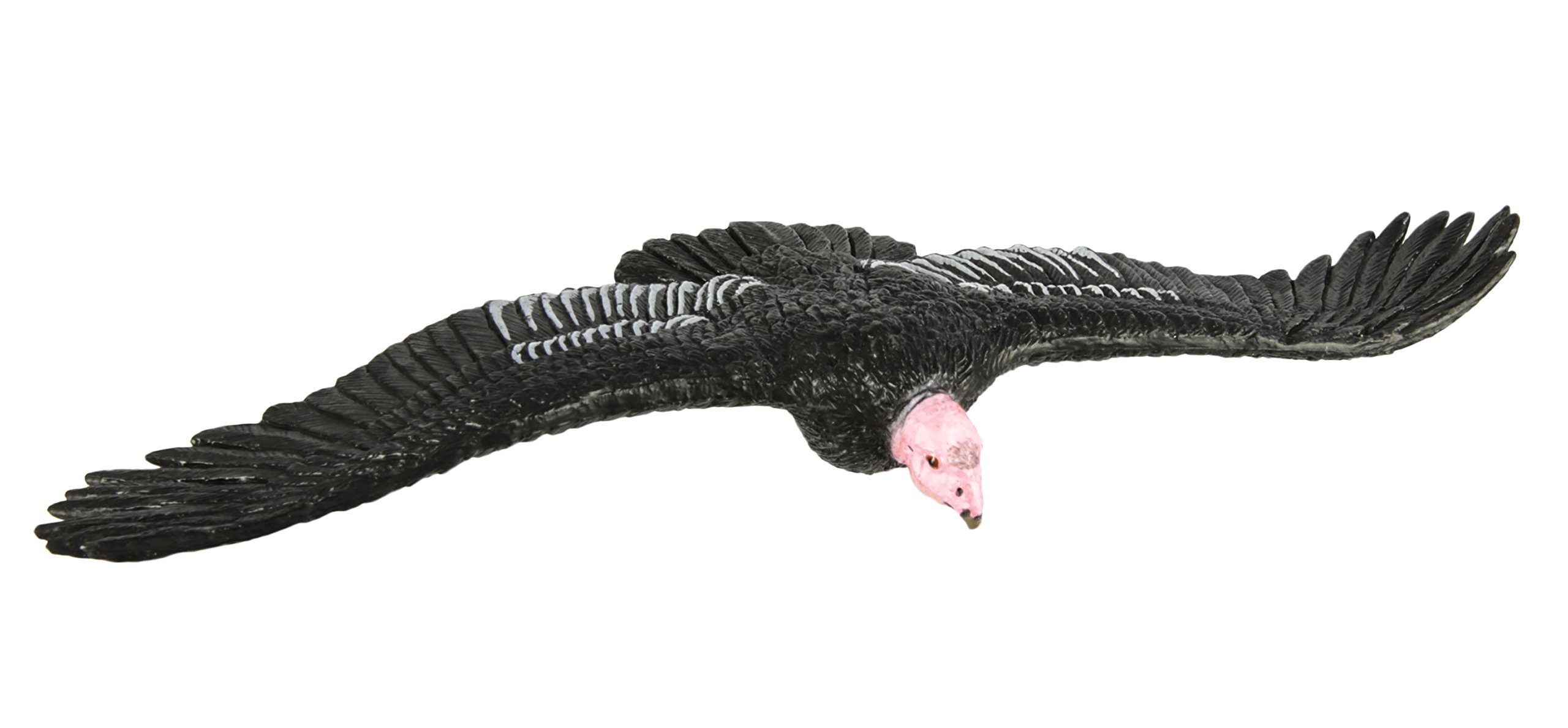 Buy Safari Ltd Wings of the World California Condor Realistic Hand ...
