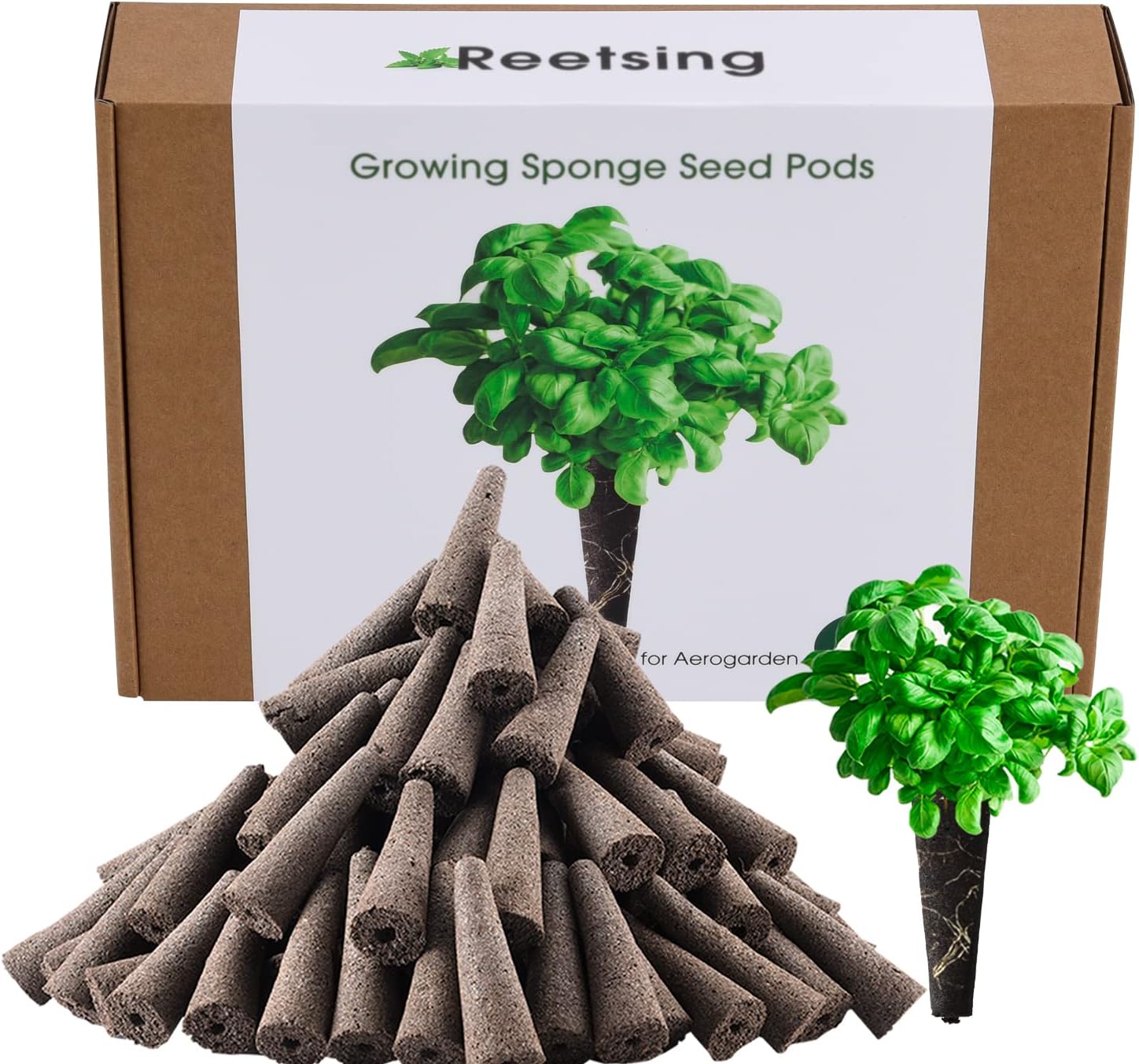 Amazon.com : POUYRBA Grow Sponges, 80pcs Brown Peat Soil Hydroponic ...