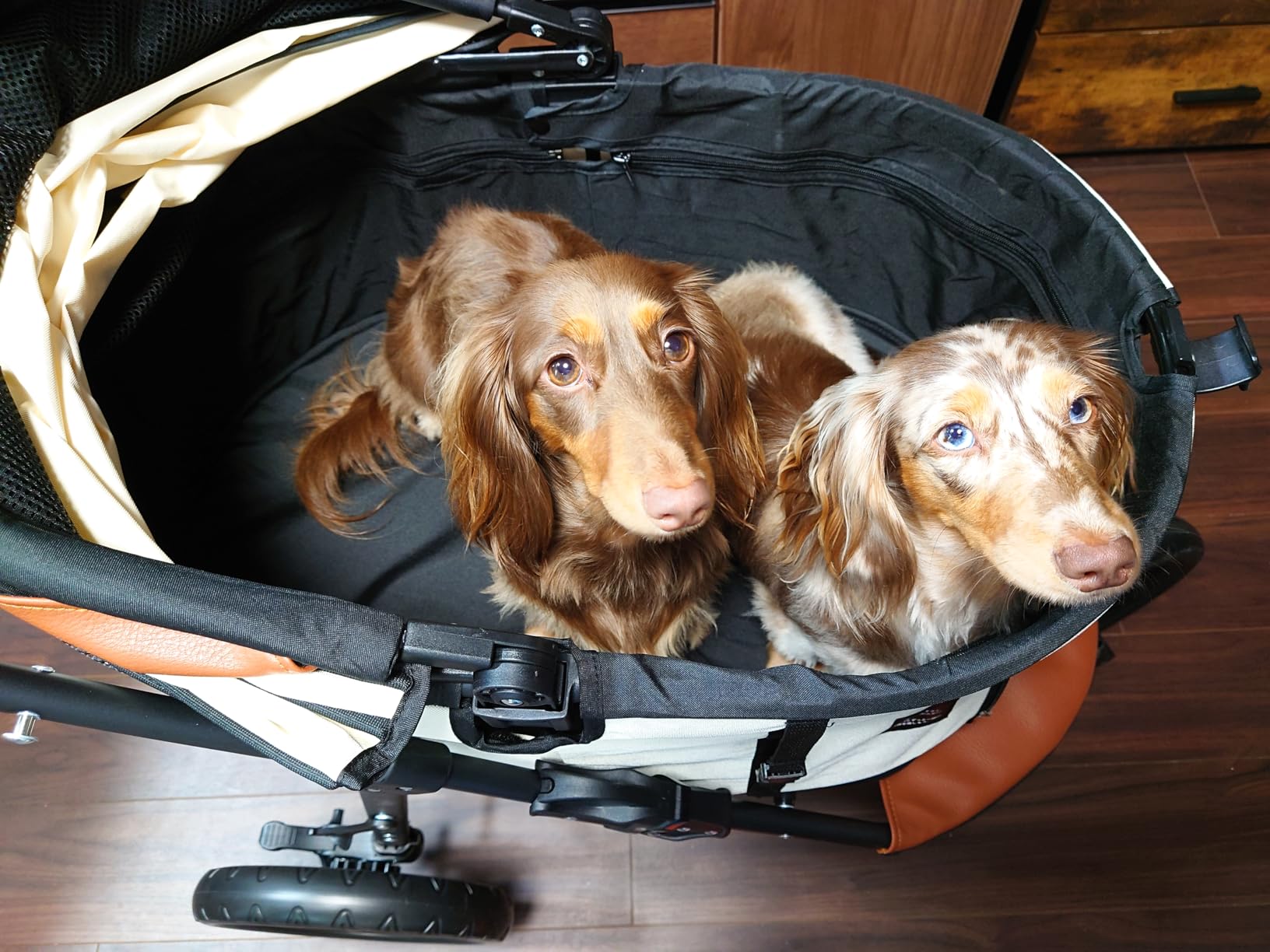 Amazon.co.jp: MOTASAN 減震 ペットカート 取り外し可能 分離型 多頭 2匹用 大型犬 中型犬 小型犬 猫 犬カート ...