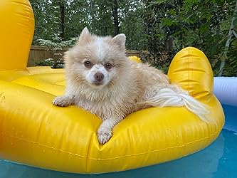 Amazon.com: INTEX Baby Duck Inflatable Pool Float: Animal Pool Toy for ...