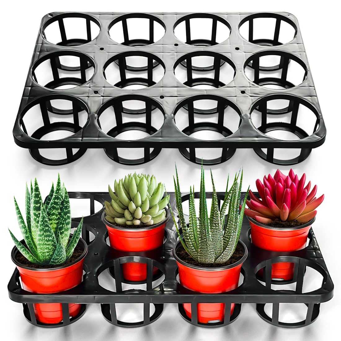 Amazon.com : RooTrimmer 12 Cell Nursery Planter Pots Trays, Plant Pot ...