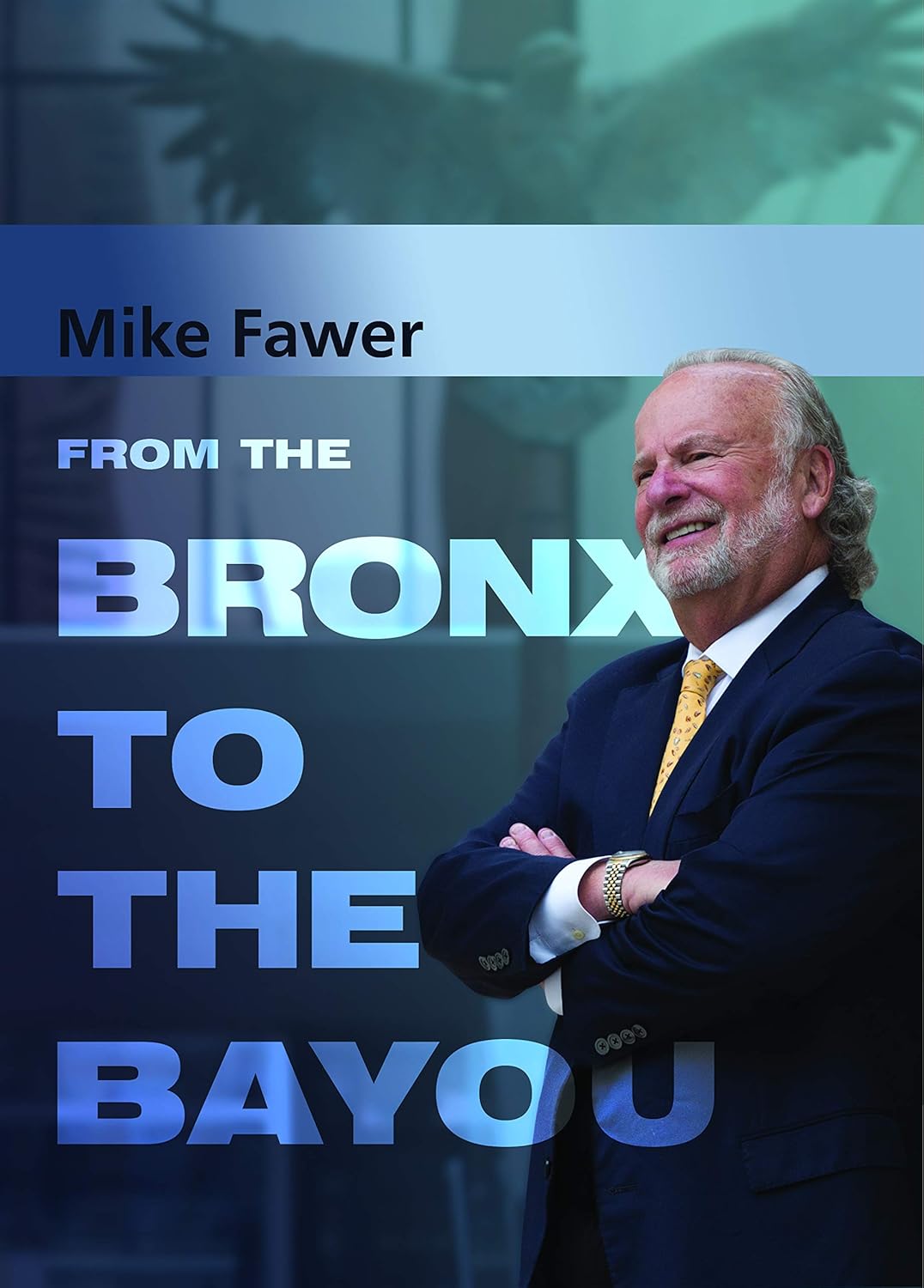 From the Bronx to the Bayou: Mike Fawer: 9780692199824: Amazon.com: Books