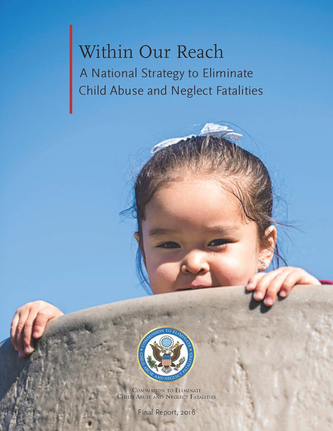 Amazon.com: Within Our Reach A National Strategy to Eliminate Child ...