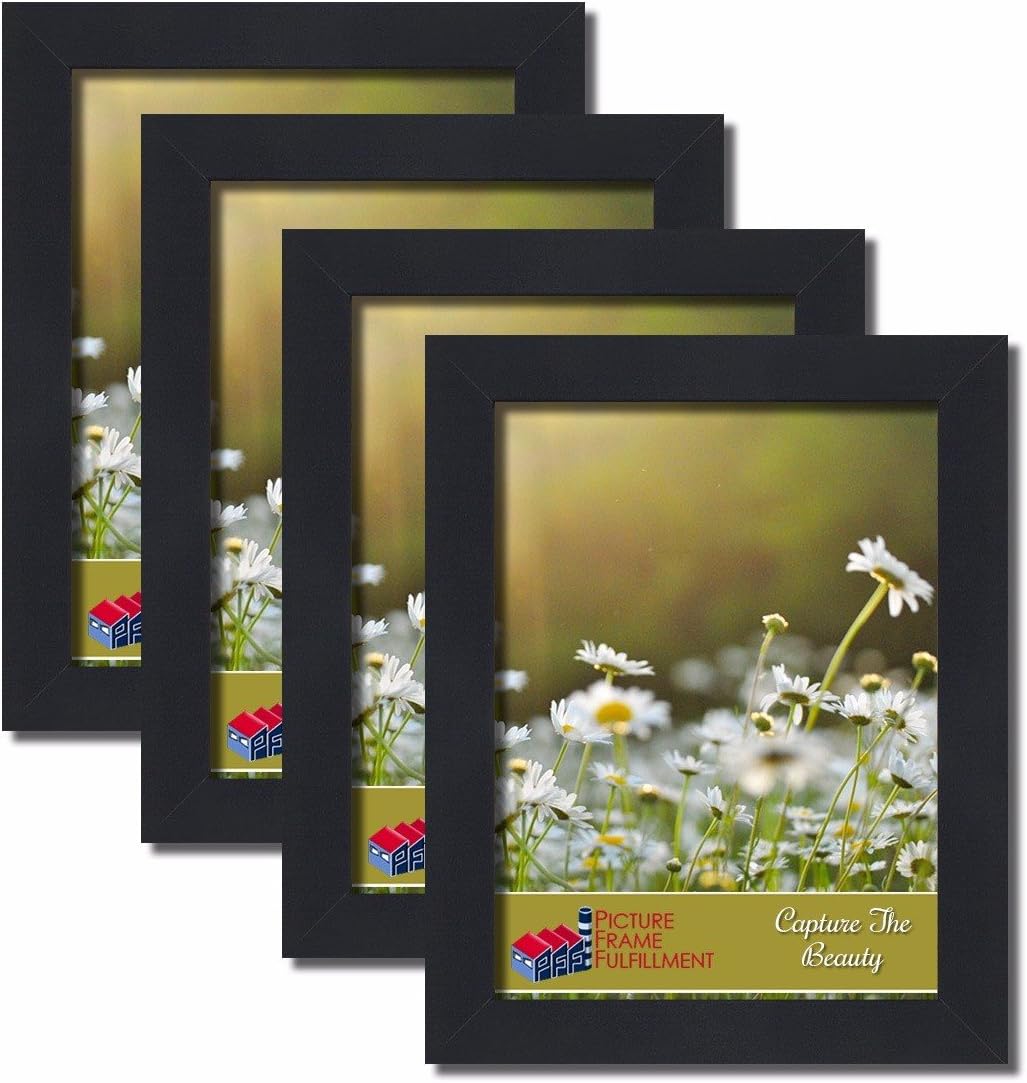 Amazon.com - PictureFrameFactoryOutlet 9 by 12-inch Picture Frame 4 ...