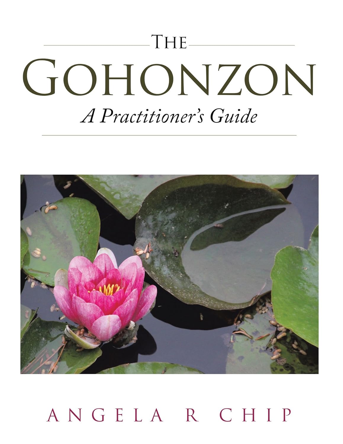 The Gohonzon – a Practitioner’S Guide - Kindle edition by Chip, Angela ...