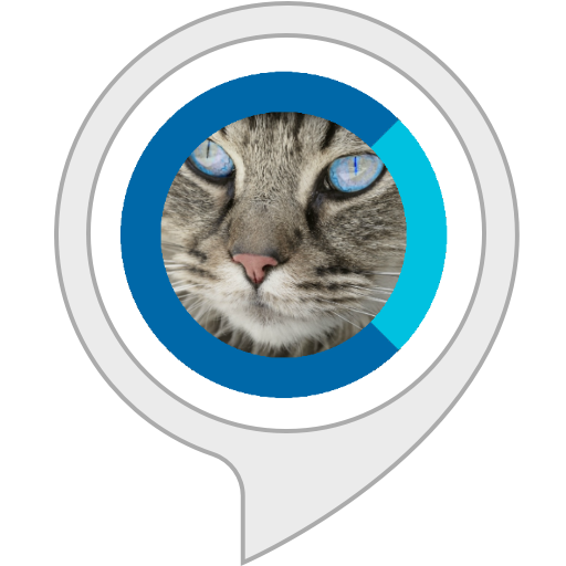 Amazon.com: Cat Facts : Alexa Skills