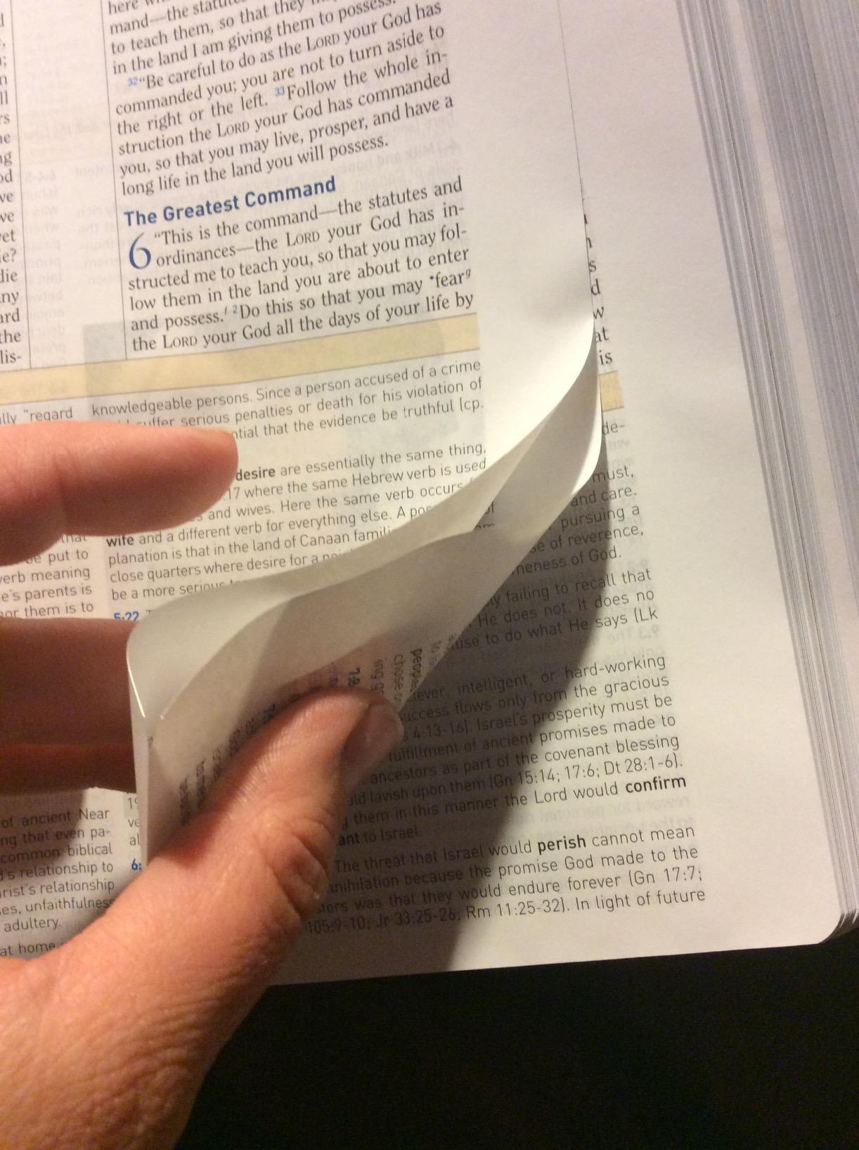 HCSB Study Bible: Holman Christian Standard Bible, Brown & Blush ...