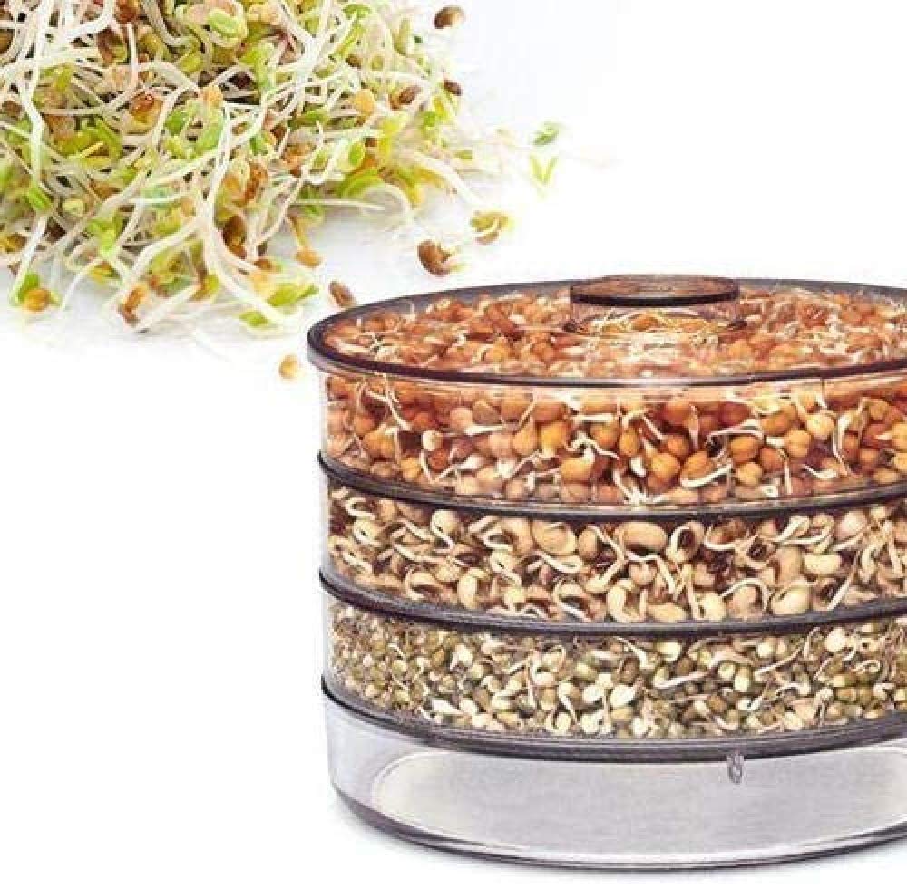 Buy IVAR 4 Layar Sprout Maker Container For Grains & Seed Fridge ...
