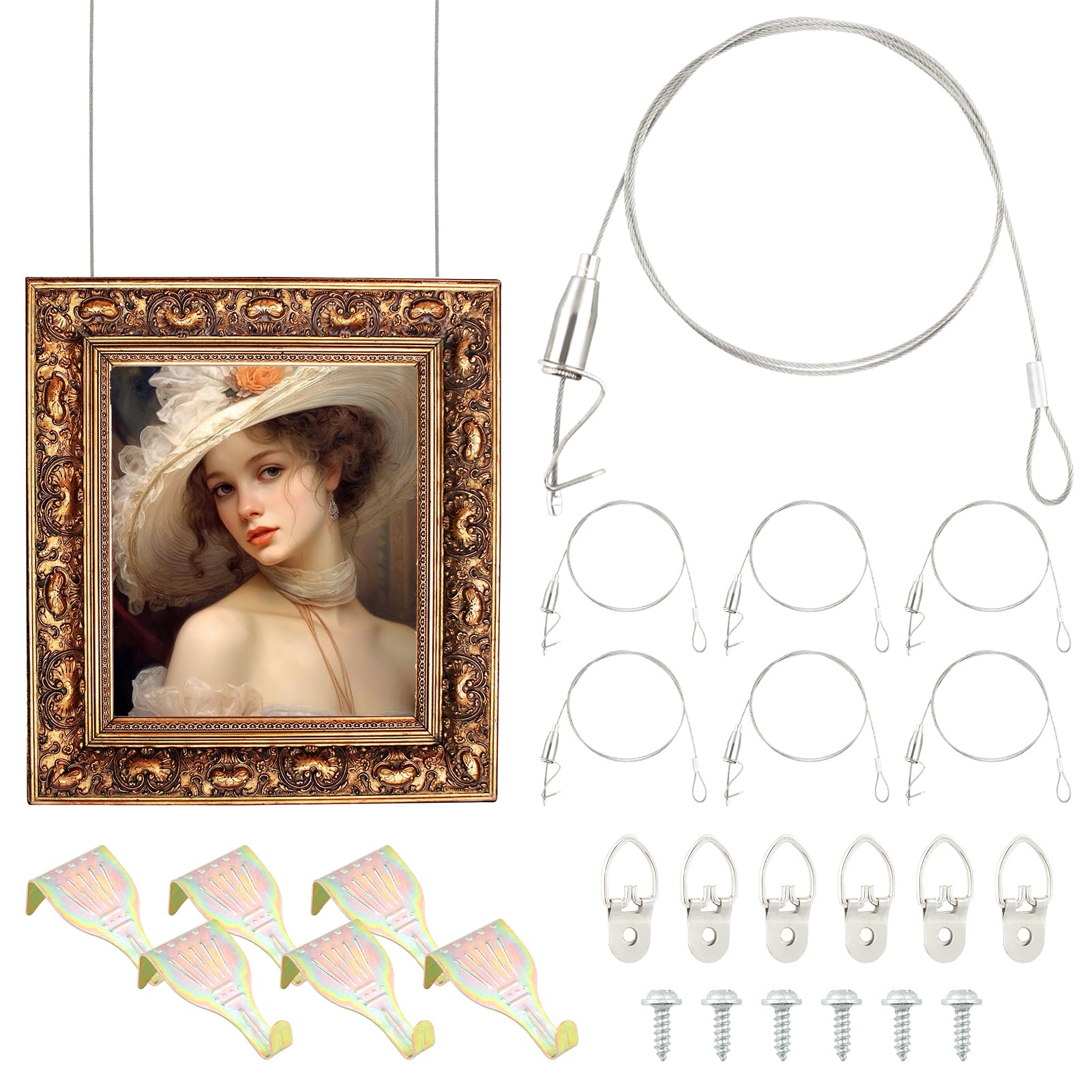 6Pcs Picture Hanging Wire Kit, 1m Adjustable Mirror Hanging Wire ...