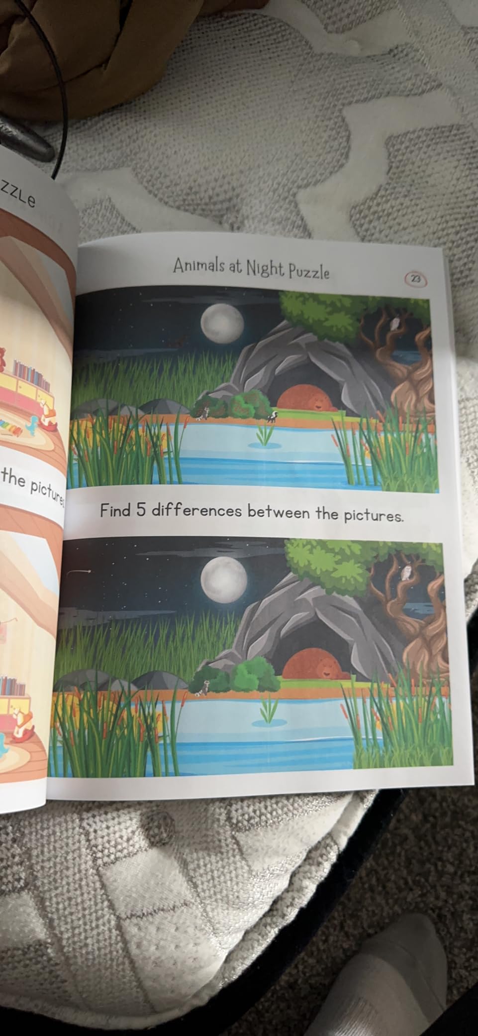 Amazon.com: Spot the Difference Activity Book: Find the Difference ...