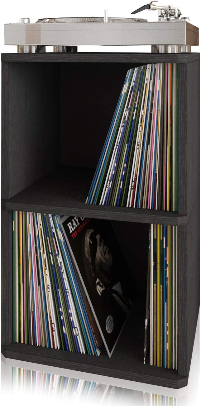 2-Shelf Vinyl Record Storage Cube and LP Record Album Storage Shelf ...