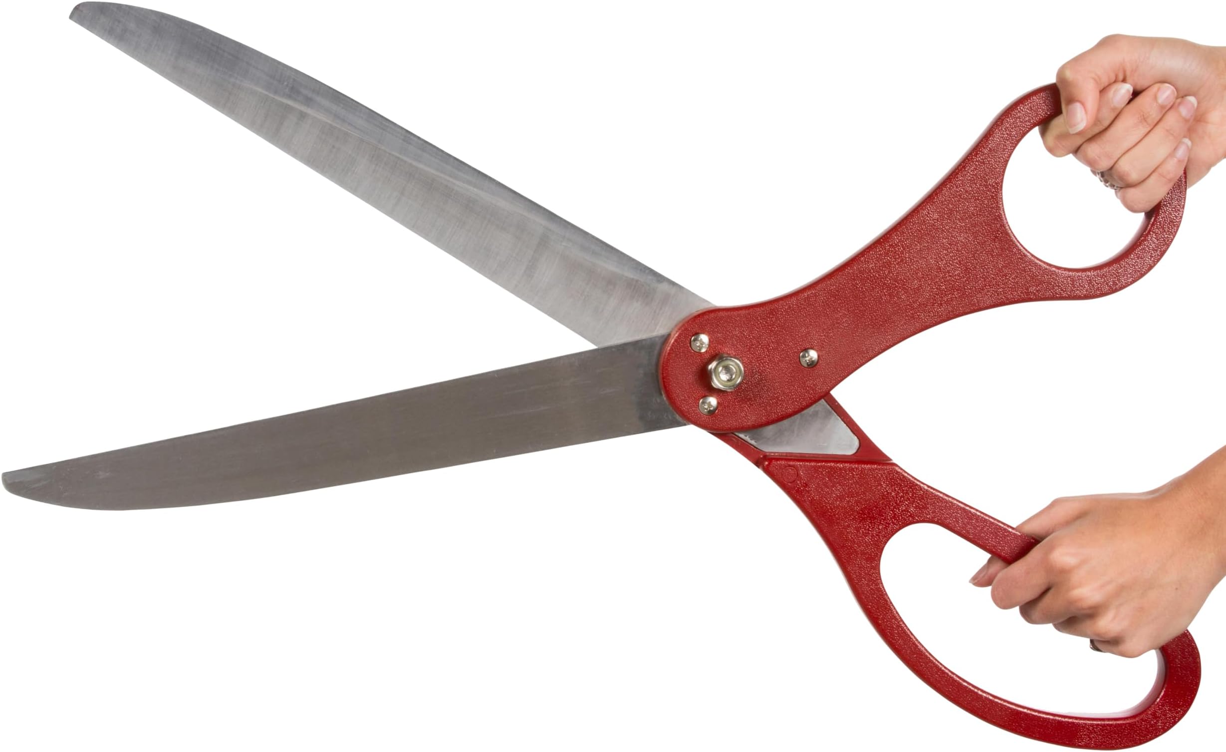 Amazon.com: Ribbon Cutting Scissors Giant Scissors Large Scissors for ...