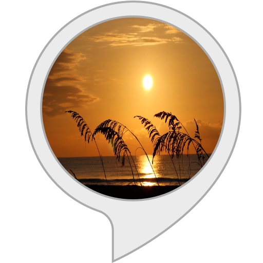 Amazon.in: good morning : Alexa Skills