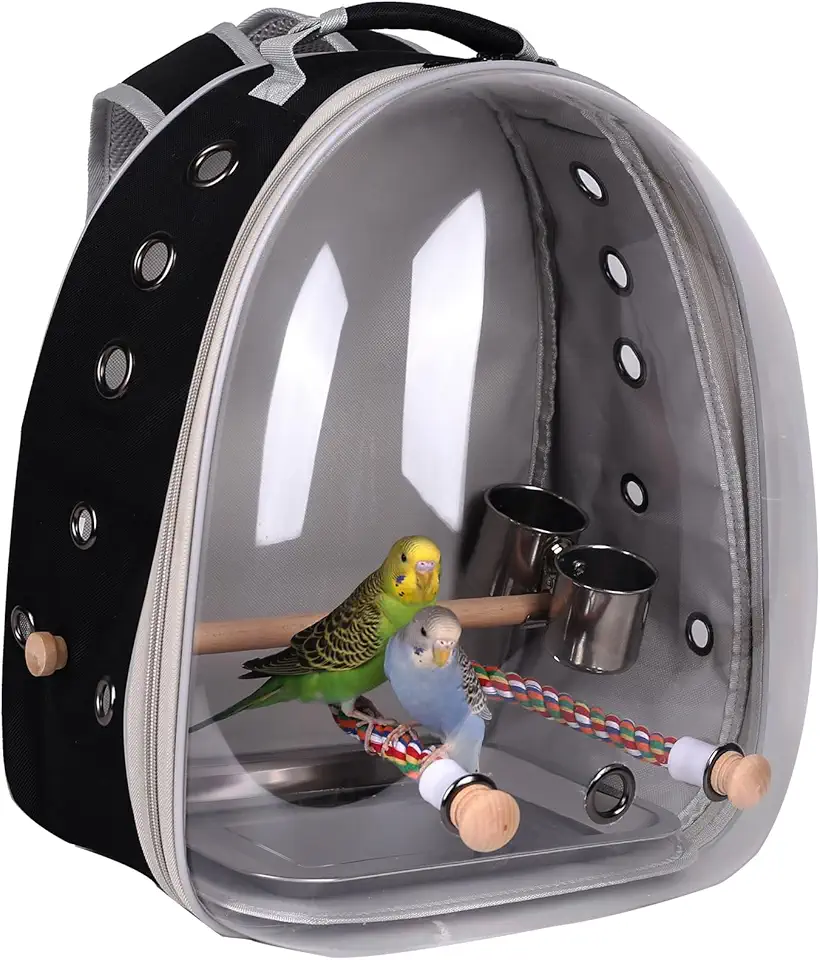 The Cost Of Owning A Budgie: How Much You Should Expect To Spend | PetShun