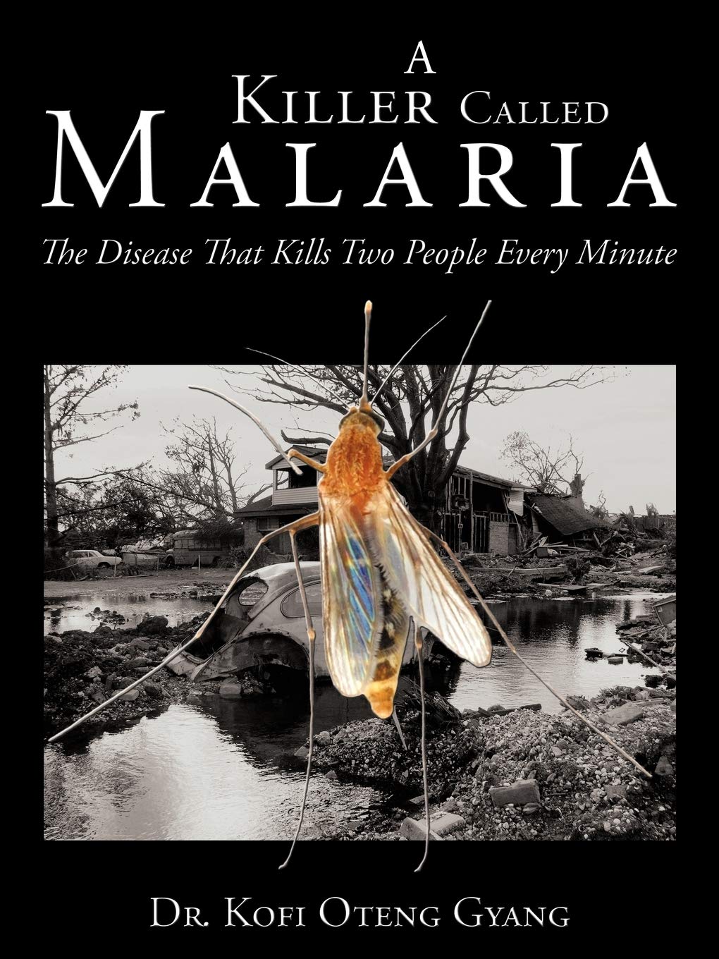 A Killer Called Malaria: The Disease That Kills Two People Every Minute ...