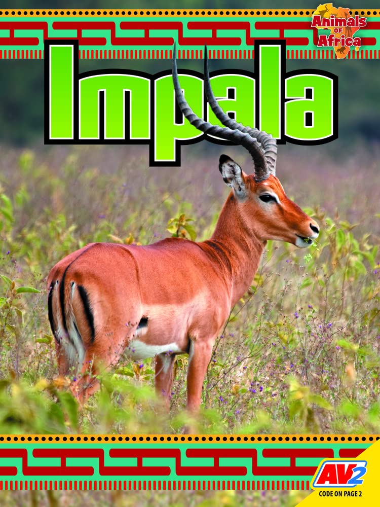 Impala (Animals of Africa): Gillespie, Katie: 9781791144234: Amazon.com ...
