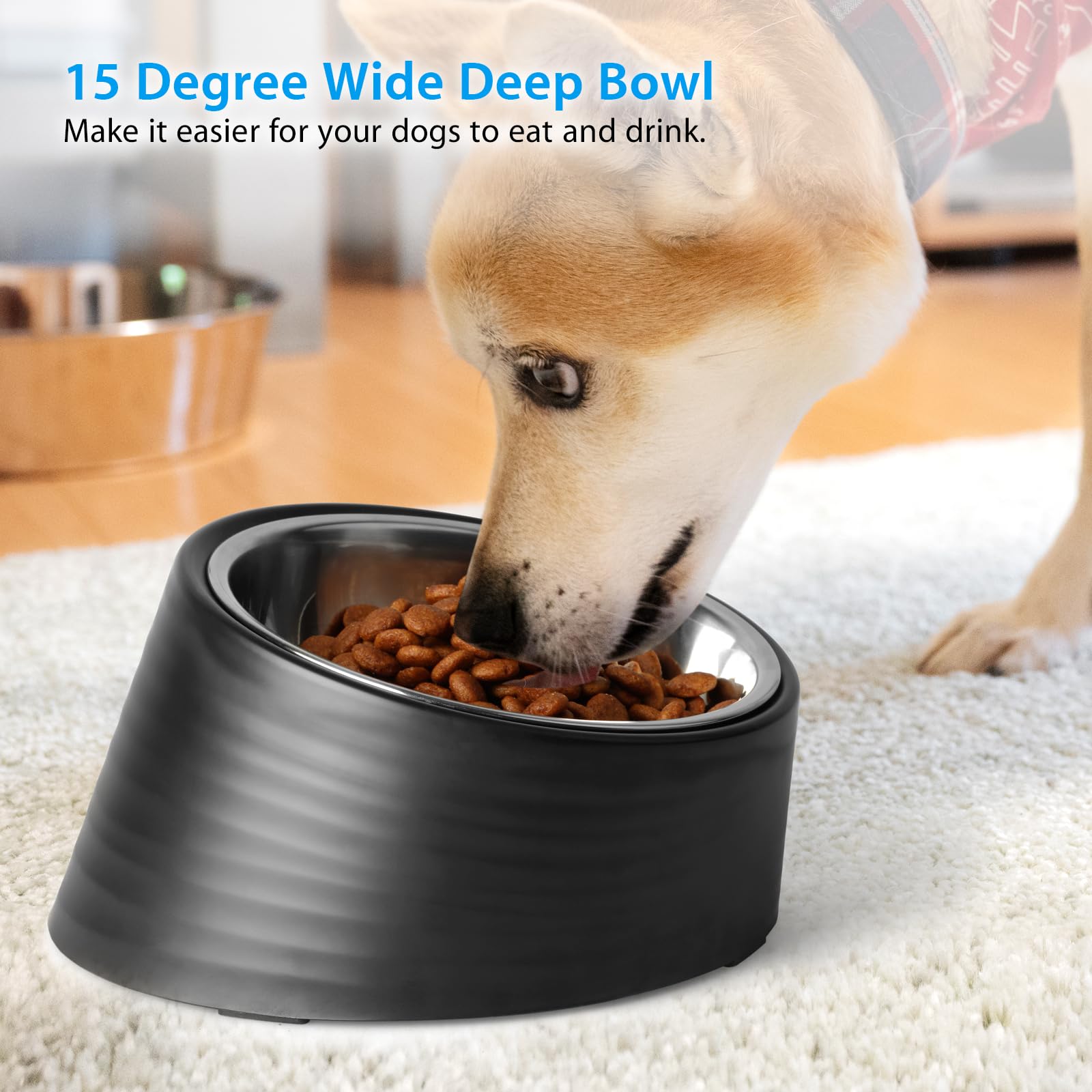 Uppetly Tilted Angle Dog Bowl, 15Â° Slanted Stainless Steel Dog Cat ...