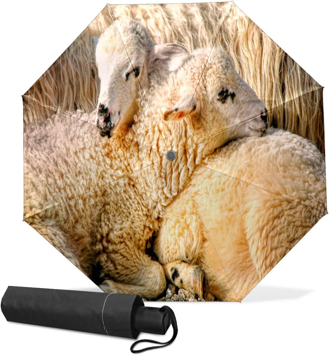Amazon.com: QWEUIOP Travel Umbrella Sheep Lamb Farm Animals Windproof ...