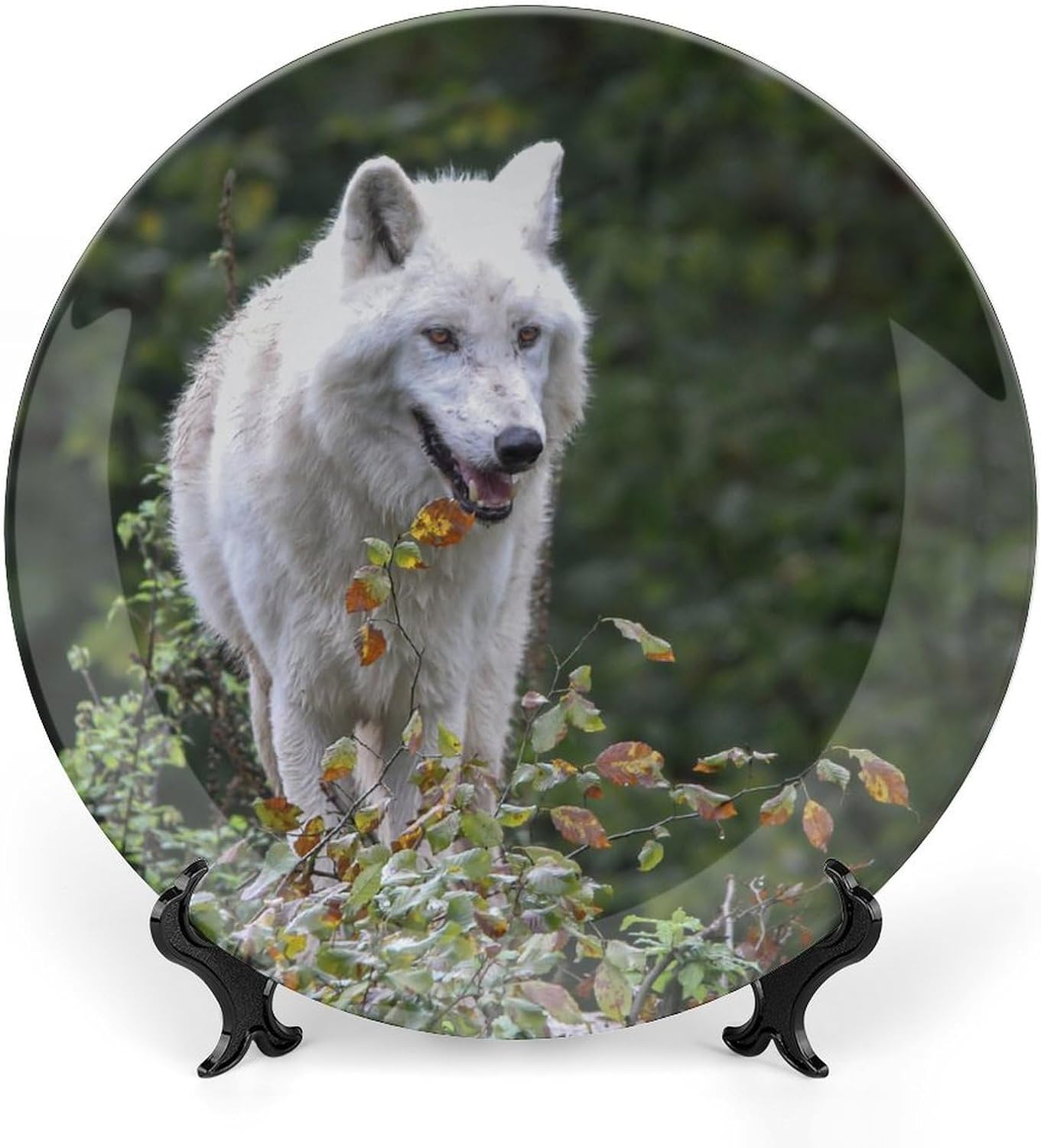 Amazon.com | Animal Wolf Decorative Hanging Plate Home Decor Accent ...