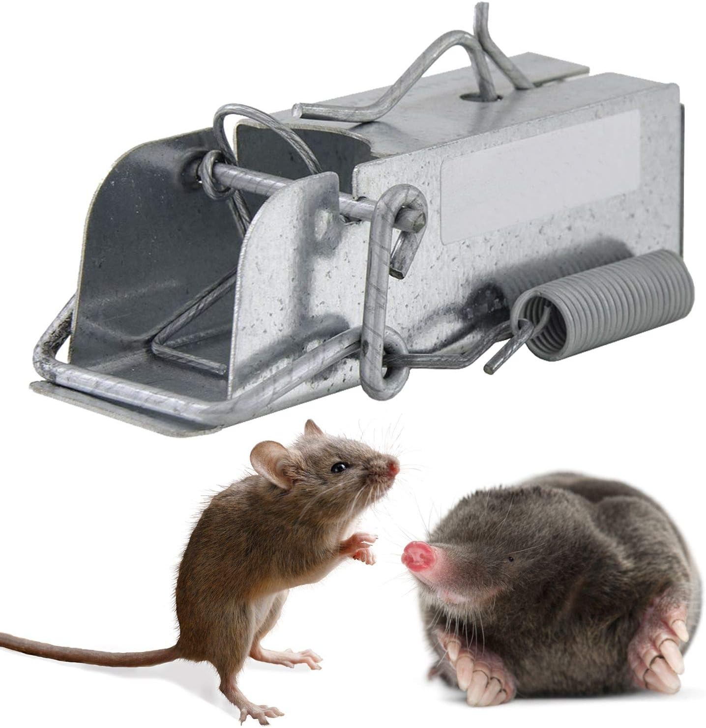 Amazon.com : Ouell mini powerful snap trap - reusable mouse trap ...