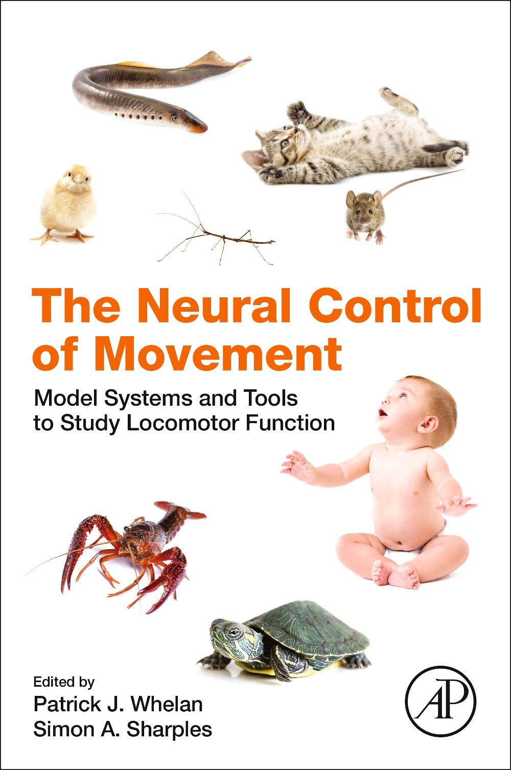 Amazon | The Neural Control of Movement: Model Systems and Tools to ...