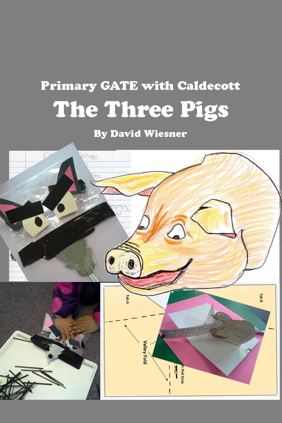 Amazon | Teaching David Weisner's THREE PIGS for Primary Gifted and ...